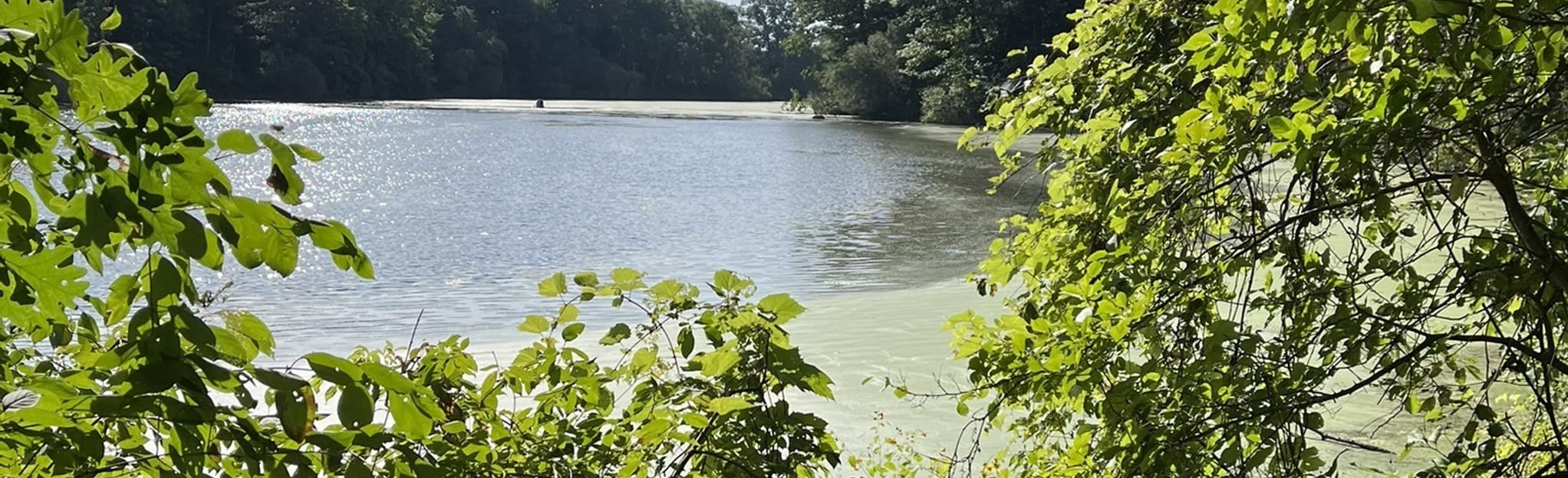 Mill Pond Loop: 441 Reviews, Map - Ontario, Canada | AllTrails