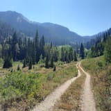 Silver Fork Trail, Utah - 133 Reviews, Map | AllTrails