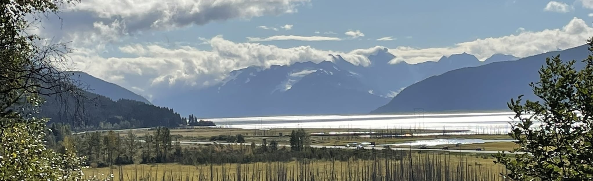 Beaver Pond Trail, Alaska - 61 Reviews, Map | AllTrails