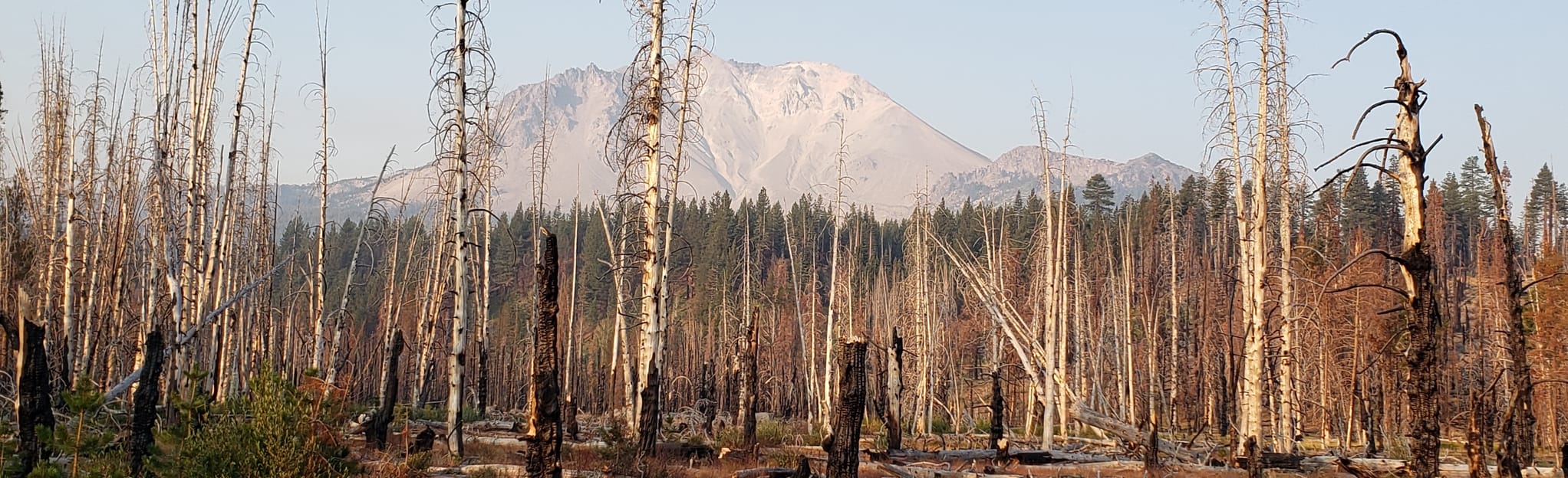 AllTrails | Badger Flat via Nobles Emigrant Trail and PCT: 4 Reviews ...