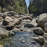 Cedars Mill Trail, British Columbia, Canada - 724 Reviews, Map | AllTrails