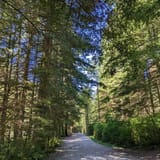 Cedars Mill Trail, British Columbia, Canada - 724 Reviews, Map | AllTrails