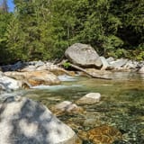 Cedars Mill Trail, British Columbia, Canada - 724 Reviews, Map | AllTrails