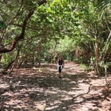 Virginia Key Trail, Florida - 1,380 Reviews, Map | AllTrails