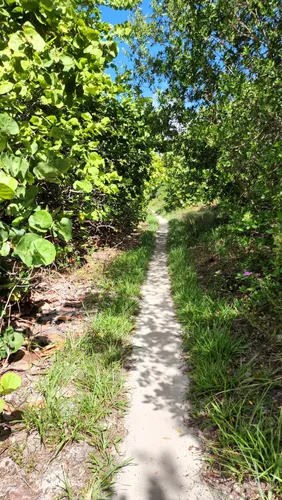 Best Hikes and Trails in Virginia Key Park | AllTrails