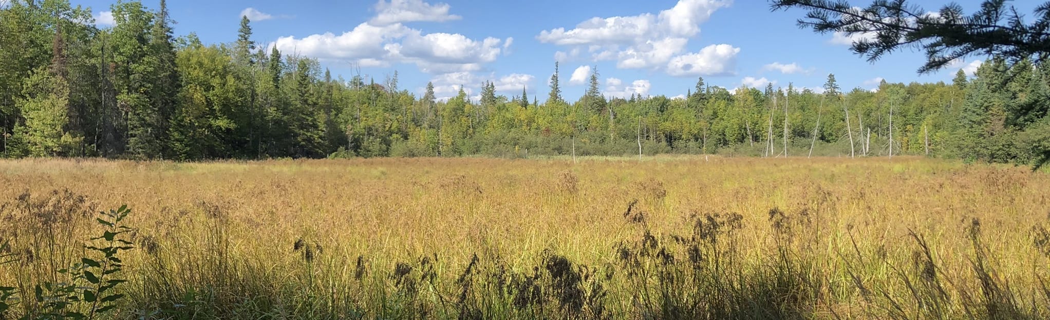 Maple Canyon Trail, Ontario, Canada - 63 Reviews, Map | AllTrails