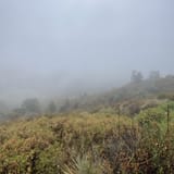 White Ranch Open Space Outside Loop, Colorado - 200 Reviews, Map ...