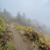 White Ranch Open Space Outside Loop, Colorado - 200 Reviews, Map ...