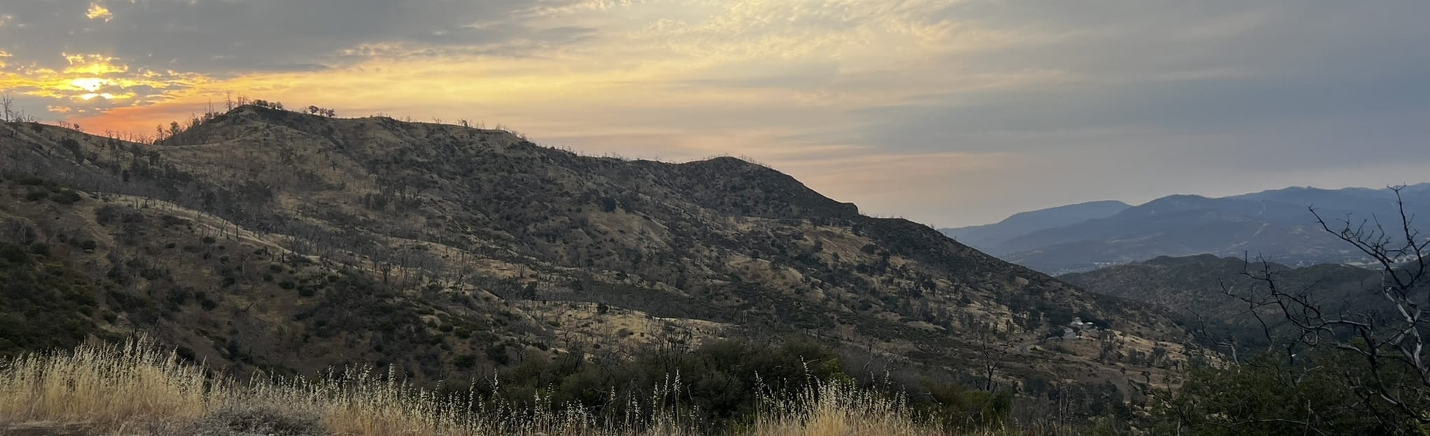 Harbin Mountain Trail and Boggs Mountain Trail Loop | Map, Guide ...
