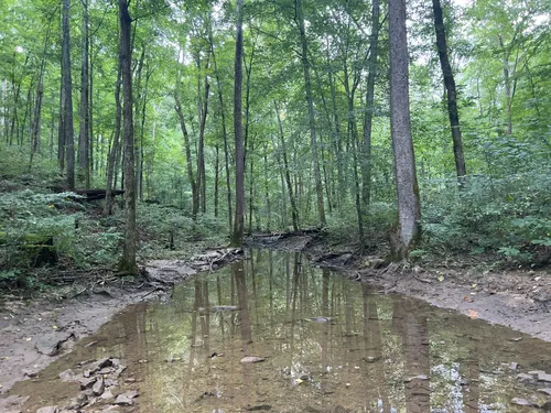 Best Horseback Riding Trails in Mammoth Cave National Park | AllTrails