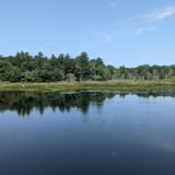 Arcadia Trail Loop, Rhode Island - 279 Reviews, Map | AllTrails