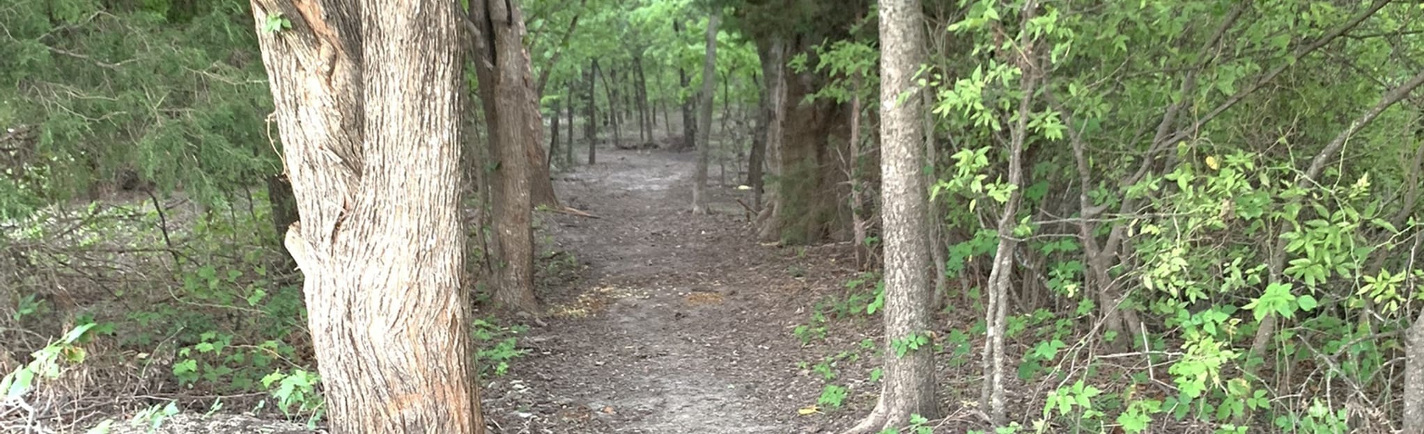 Coyote Loop | Map, Guide - Texas | AllTrails