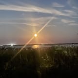 Ocean Parkway Path to Jones Beach Bike Path, New York - 679 Reviews ...