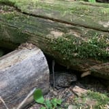 Spectrum Lake Trail, British Columbia, Canada - 151 Reviews, Map ...