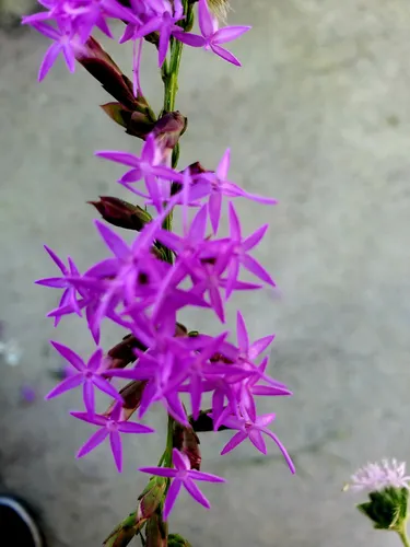 Best Hikes and Trails in Branan Field Wildlife and Environmental Area ...