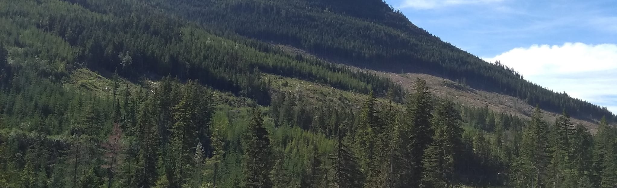 Buffalo Hump Trail, British Columbia, Canada - 10 Reviews, Map | AllTrails