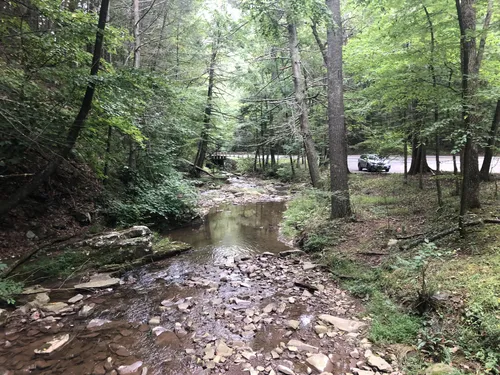 Best 10 Hiking Trails in Lost River State Park | AllTrails