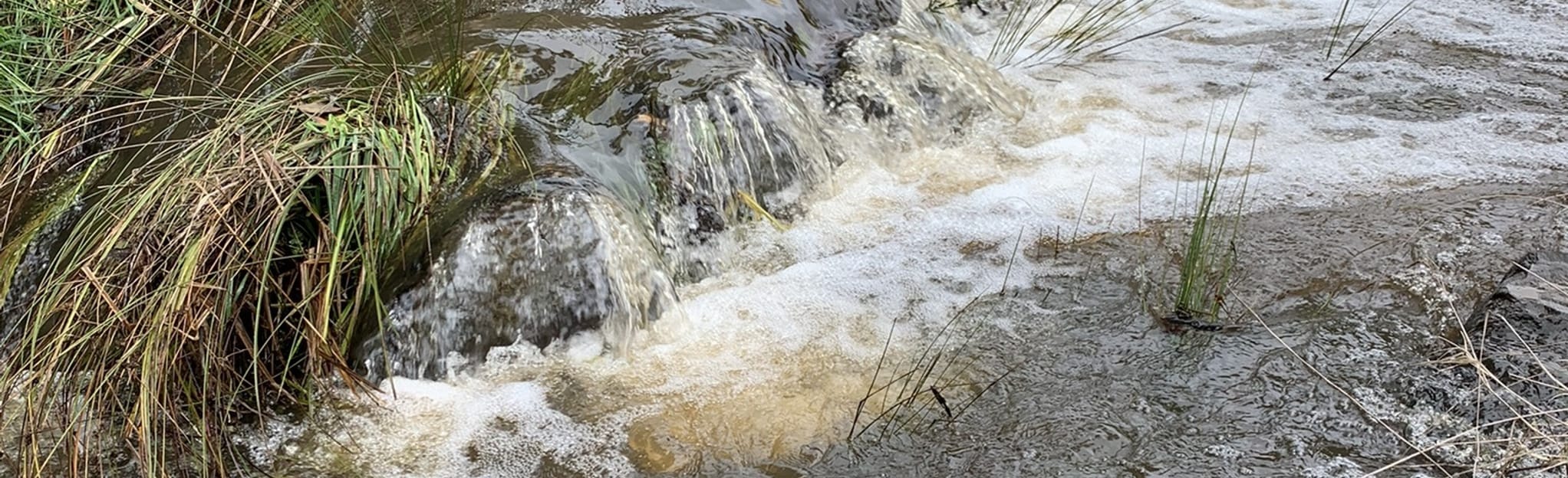 Glenlyon Biolink Walking Trail, Victoria, Australia - 9 Reviews, Map ...