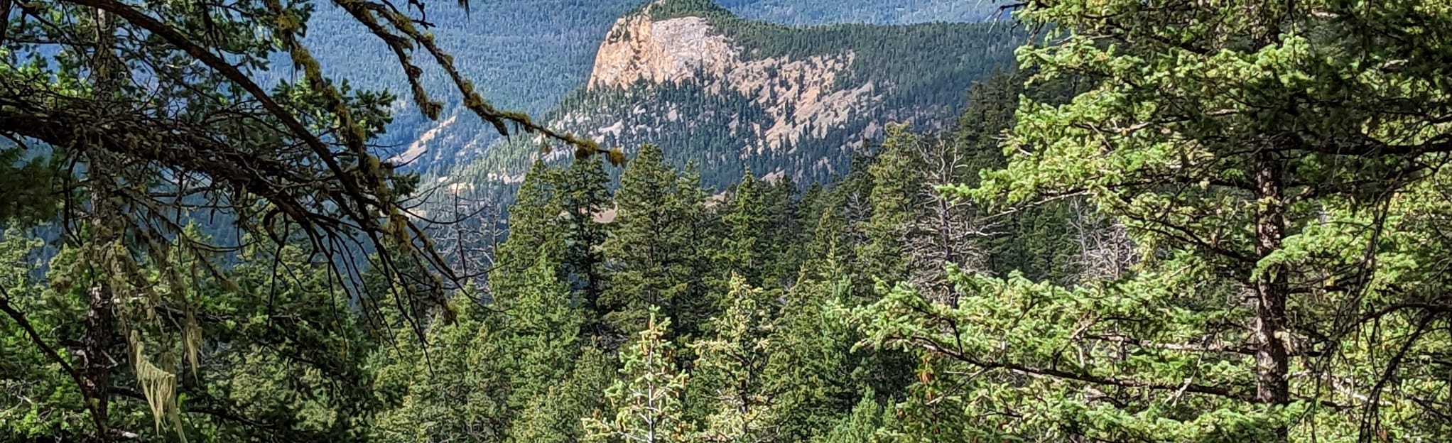 Ye Old Box Trail to First Lookout: 5 Reviews, Map - British Columbia ...