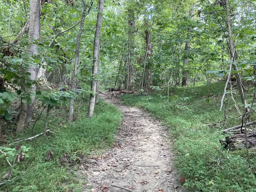 Best Hikes and Trails in Douglas Point Special Recreation Management ...