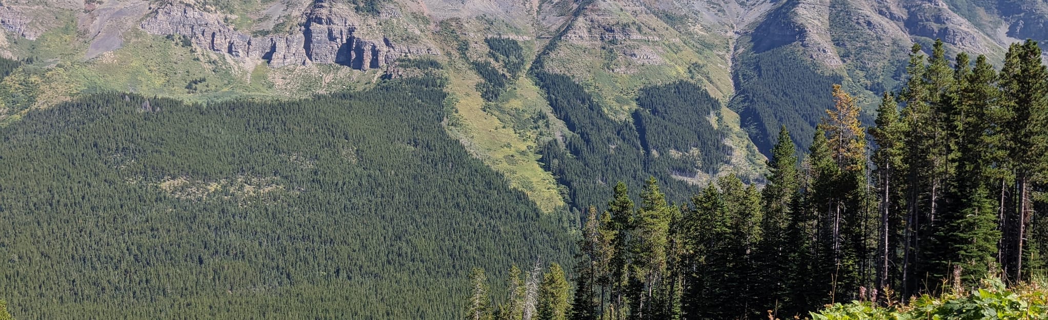 Mount Haig Ridge: 5 Reviews, Map - Alberta, Canada | AllTrails