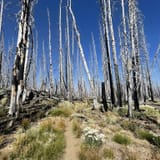 Broken Top Loop, Oregon - 282 Reviews, Map | AllTrails