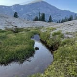 Broken Top Loop, Oregon - 282 Reviews, Map | AllTrails