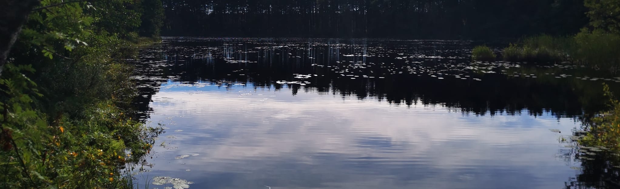 Liivane ranna-Peraküla õpperada: 13 foto's - Läänemaa, Estland ...