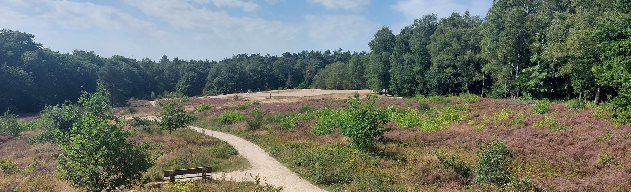 Wandelroute Hoogtepunten Kaapse Bossen - Utrecht, Netherlands | AllTrails