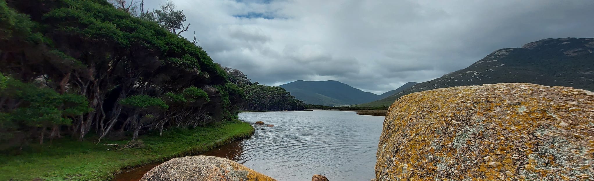 Tidal Overlook Track and Lilly Pilly Gully Track Loop: 420 bilder ...