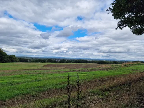 Best Hikes and Trails in Spud Wood | AllTrails