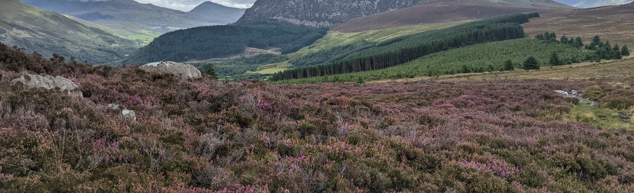 Rhosgadfan Circular: 82 Reviews, Map - Gwynedd, Wales | AllTrails