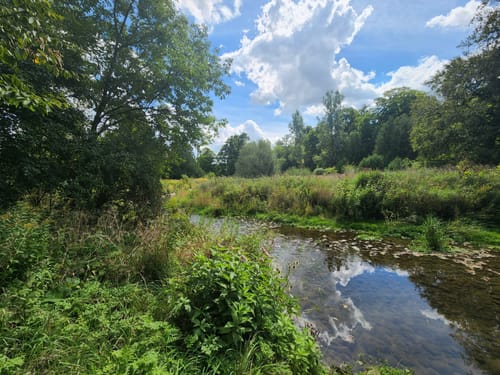 2023 Best 10 Trails and Hikes in Woolwich | AllTrails