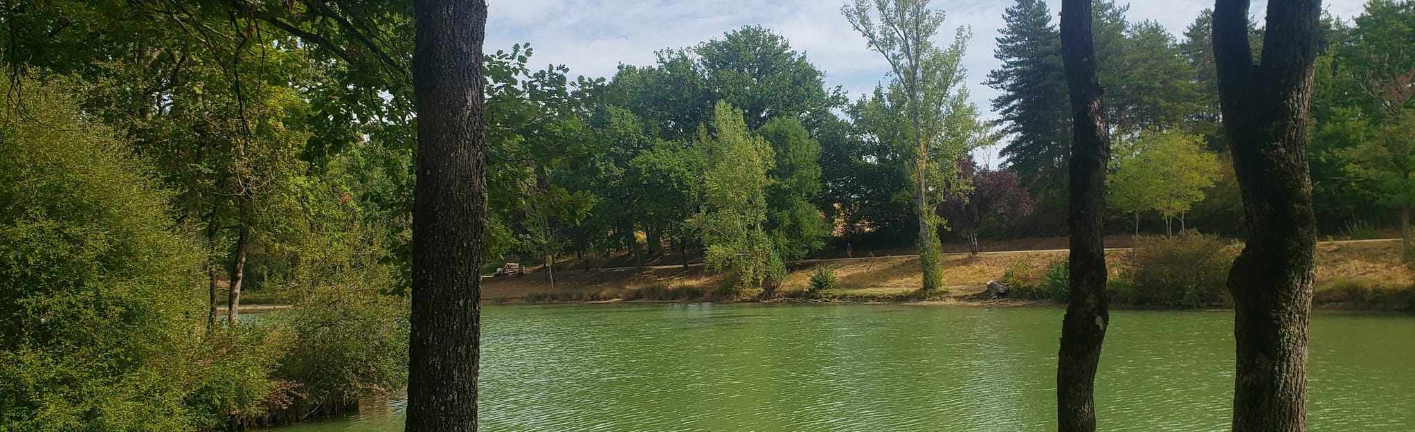 Lac des Auzerals: 15 Fotos - Tarn, France | AllTrails