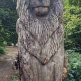 Banstead Woods Nature Circular, Surrey, England - 585 Reviews, Map ...