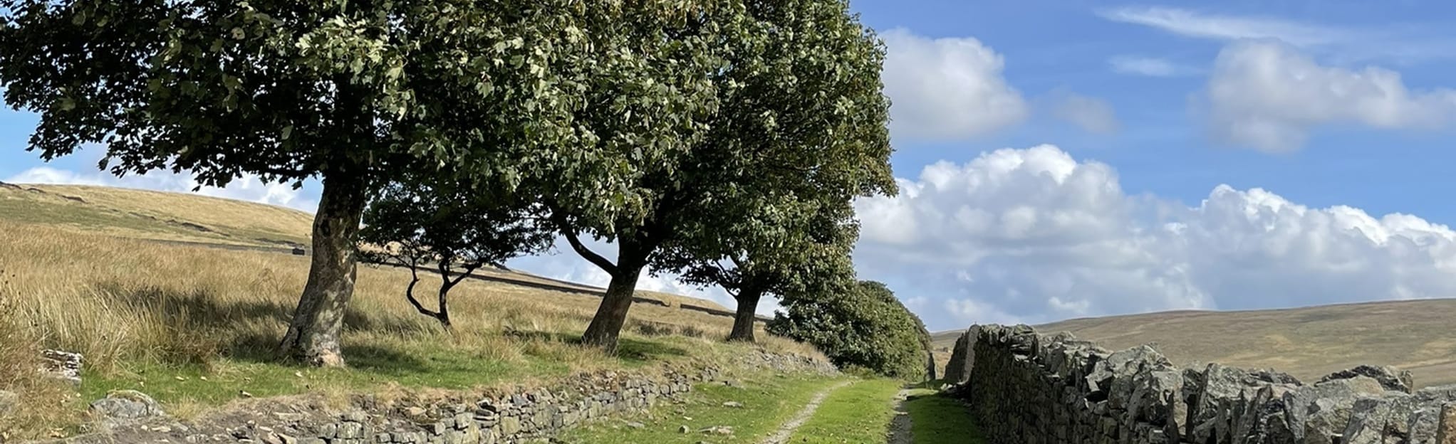 Dowry Reservoir and Crook Gate: 6 Reviews, Map - Greater Manchester ...