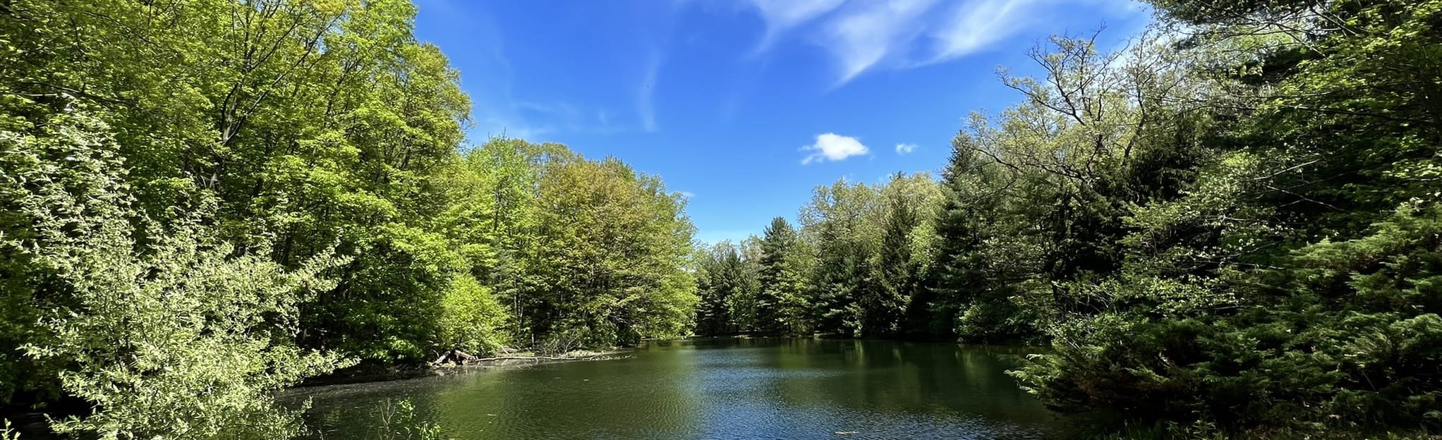 Clear Springs Nature Preserve Loop, Michigan - 126 Reviews, Map | AllTrails