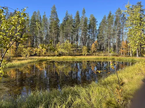 Best Hikes and Trails in Muddus National Park | AllTrails