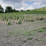 Boxley and the North Downs Circular, Kent, England - 377 Reviews, Map ...