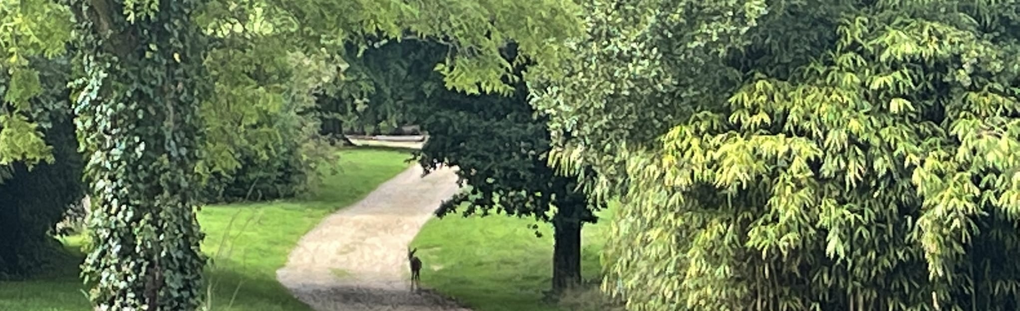 Woolton Hill and East Woodhay Circular - Hampshire, England | AllTrails