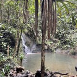 Colo-i-suva Forest Reserve Waterfalls, Central, Fiji - 22 Reviews, Map ...
