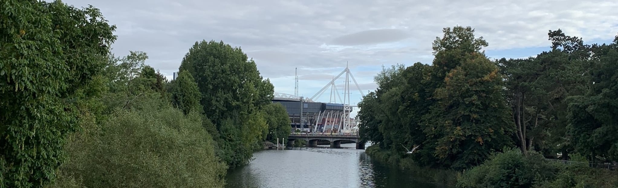 Bute Park River Trail: 40 Reviews, Map - Cardiff, Wales | AllTrails