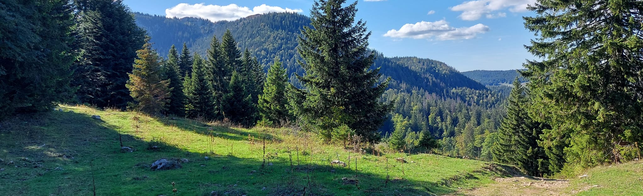 La Dôle via Genolier, Vaud, Switzerland - 28 Reviews, Map | AllTrails