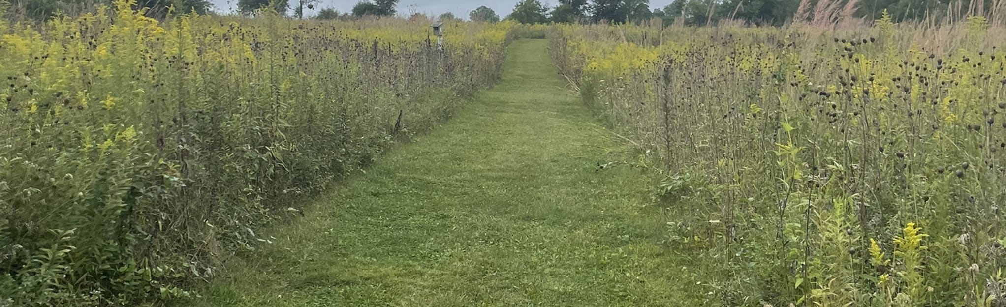 Russ Nature Preserve Extended Loop, Ohio - 116 Reviews, Map | AllTrails