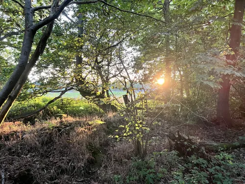 10 Best Trails and Hikes in Reading | AllTrails