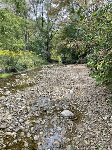 2023 Best 10 Trails and Hikes in Waterloo | AllTrails