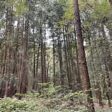 Hurricane Ridge Loop From Port Angeles, Washington - 6 Reviews, Map ...