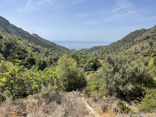 10 Best Trails and Hikes in Marbella | AllTrails