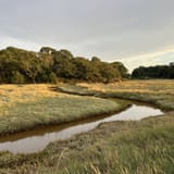 Itchenor Circular, West Sussex, England - 247 Reviews, Map | AllTrails