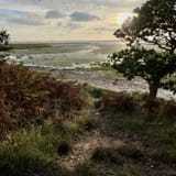 Itchenor Circular, West Sussex, England - 247 Reviews, Map | AllTrails